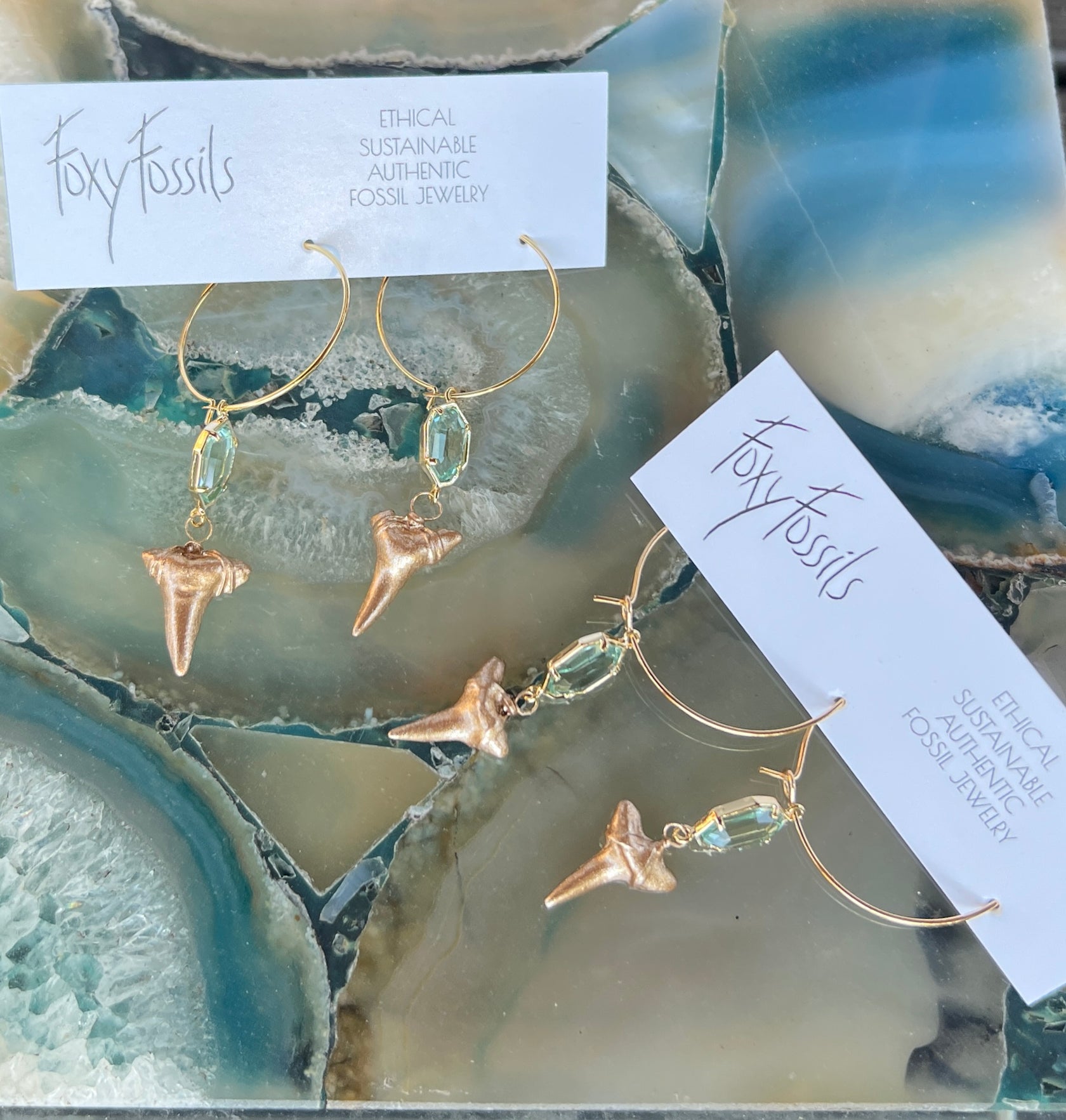 Real Shark Tooth Hoop Earrings - Gold | Foxy Fossils