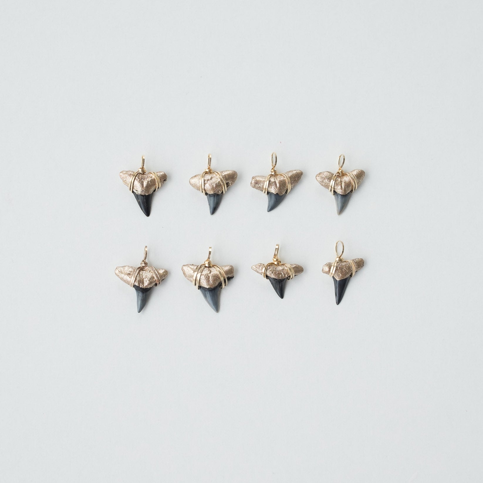 Wire-Wrapped Shark Tooth Pendant—REAL Fossil | Foxy Fossils