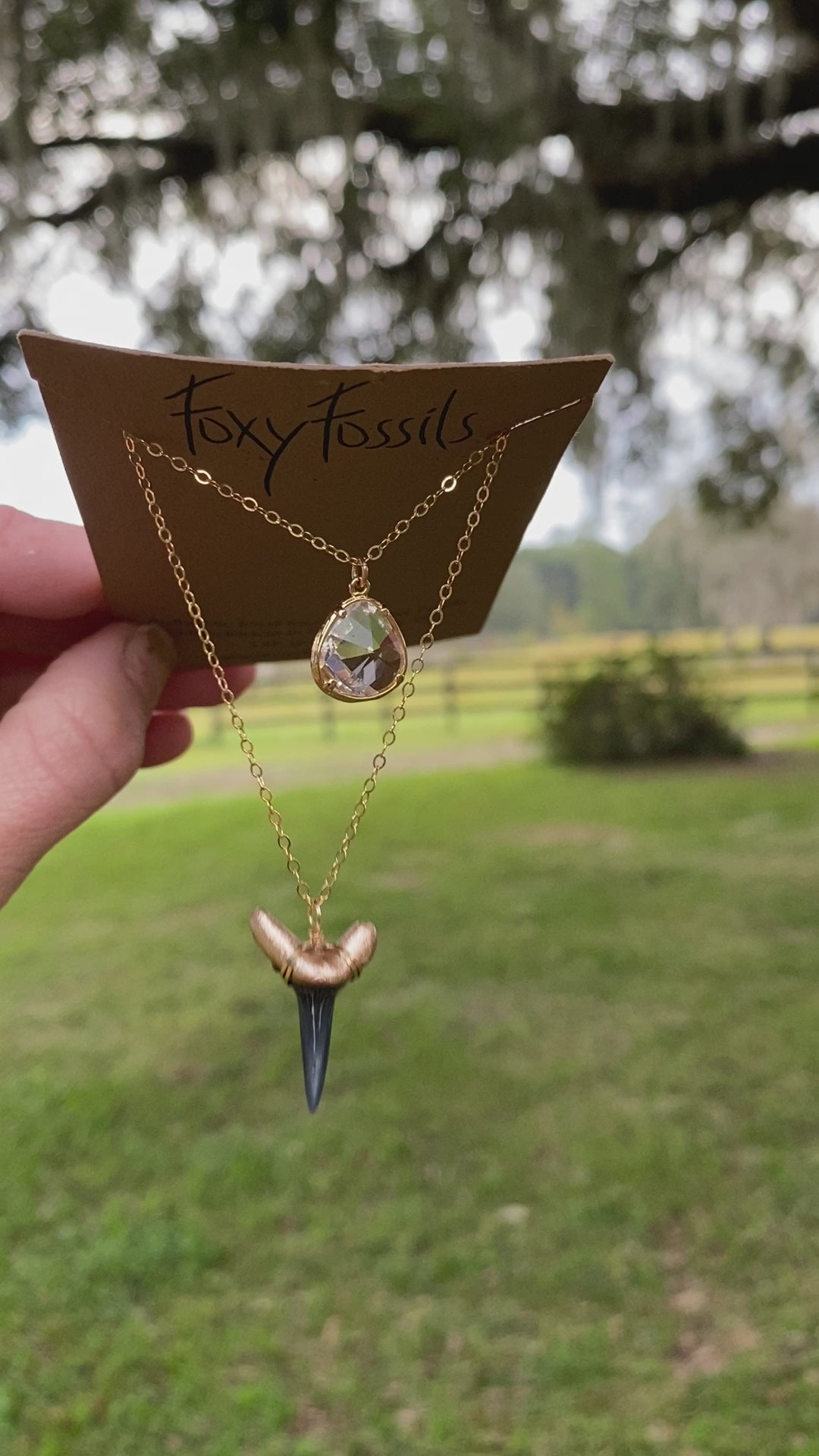 Real Shark Tooth Necklace — Jetty | Foxy Fossils