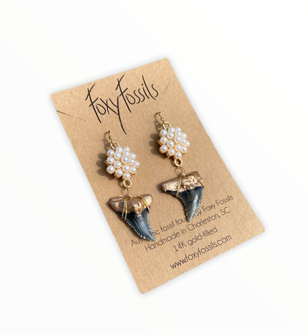 Fossil Shark Tooth Earrings-REAL | Foxy Fossils